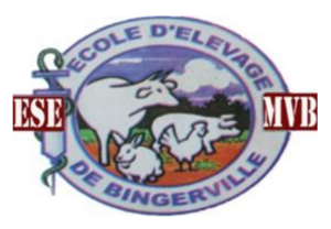 ESEMV BINGERVILLE - INFPA